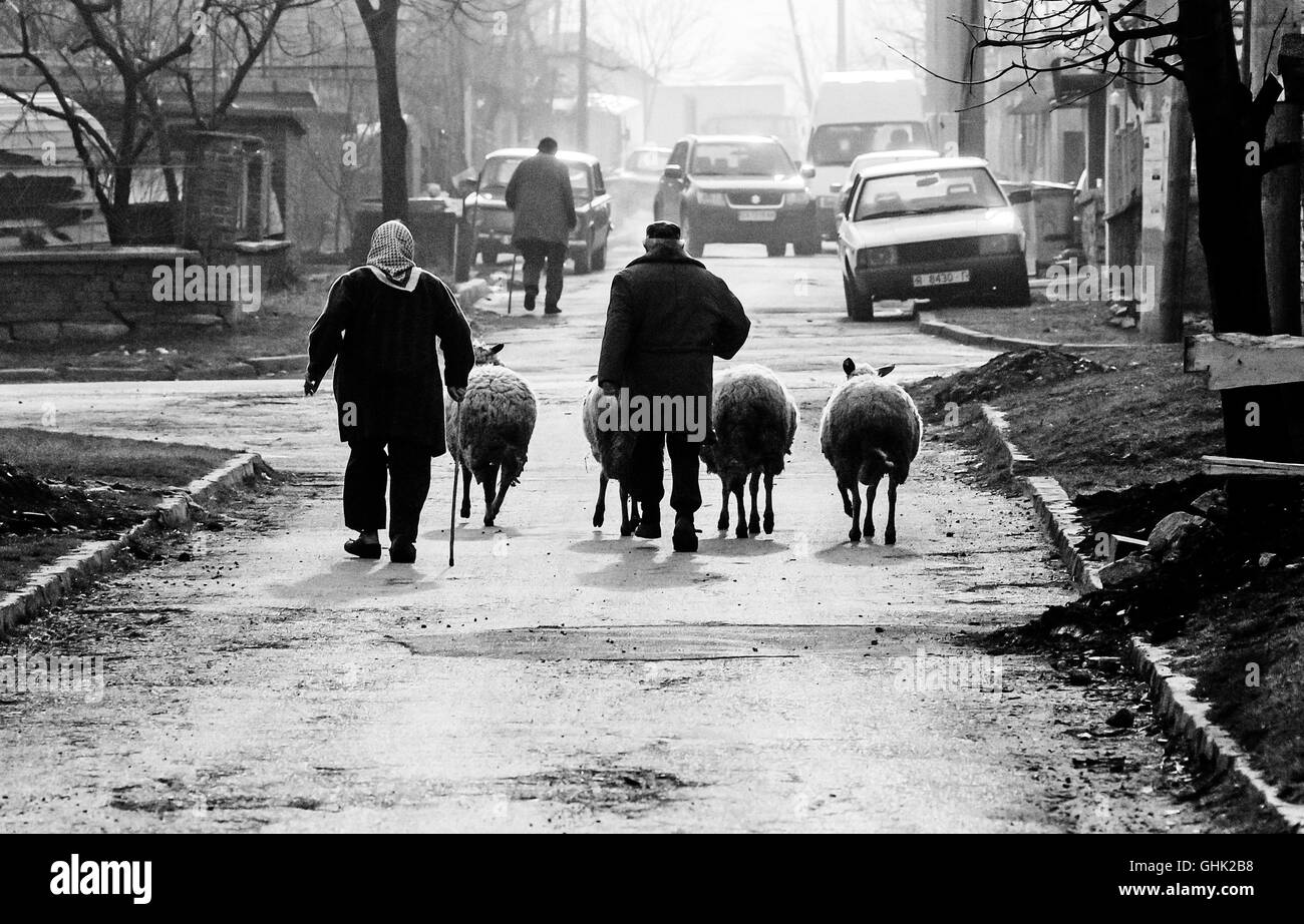 Village life bulgaria Black and White Stock Photos & Images - Alamy