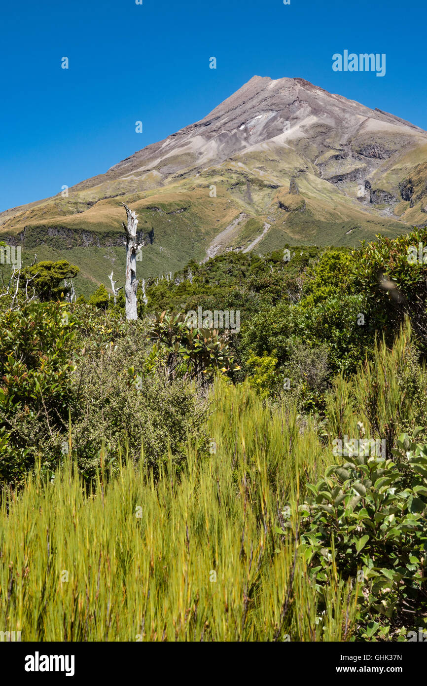 Mount taranaki summit track hi-res stock photography and images - Alamy