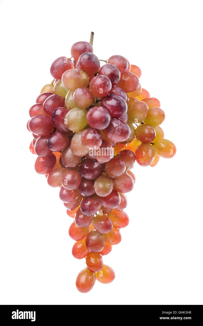 isolated fresh red grapes bunch on white background Stock Photo - Alamy