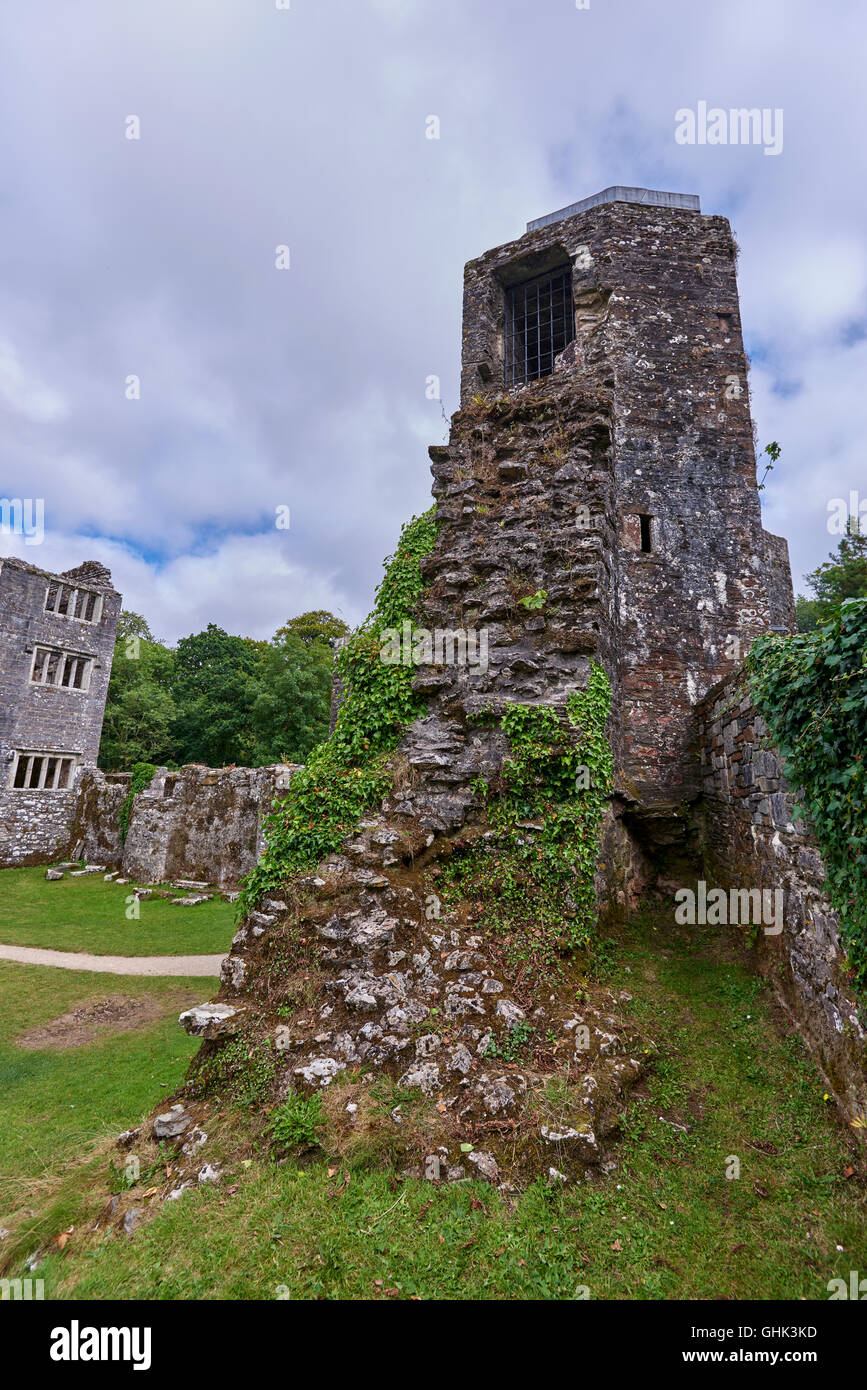 Berry Pomeroy Castle, a Tudor mansion within the walls of an earlier ...