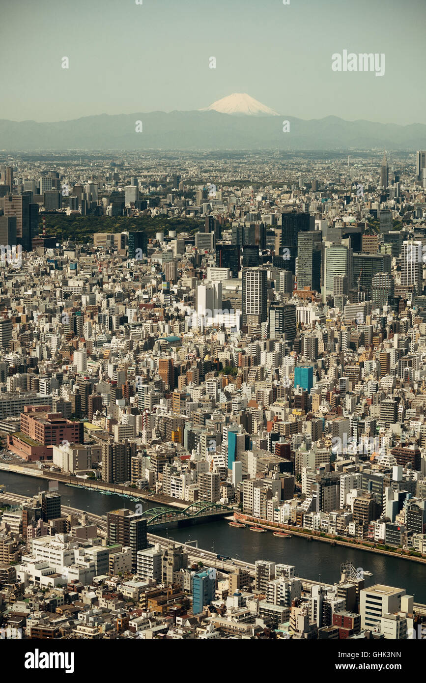 Tokyo urban skyline rooftop view with Mt Fuji, Japan Stock Photo - Alamy