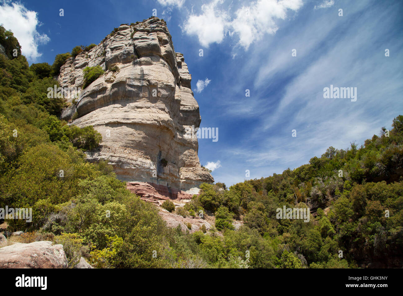 Catalonia forest hi-res stock photography and images - Alamy