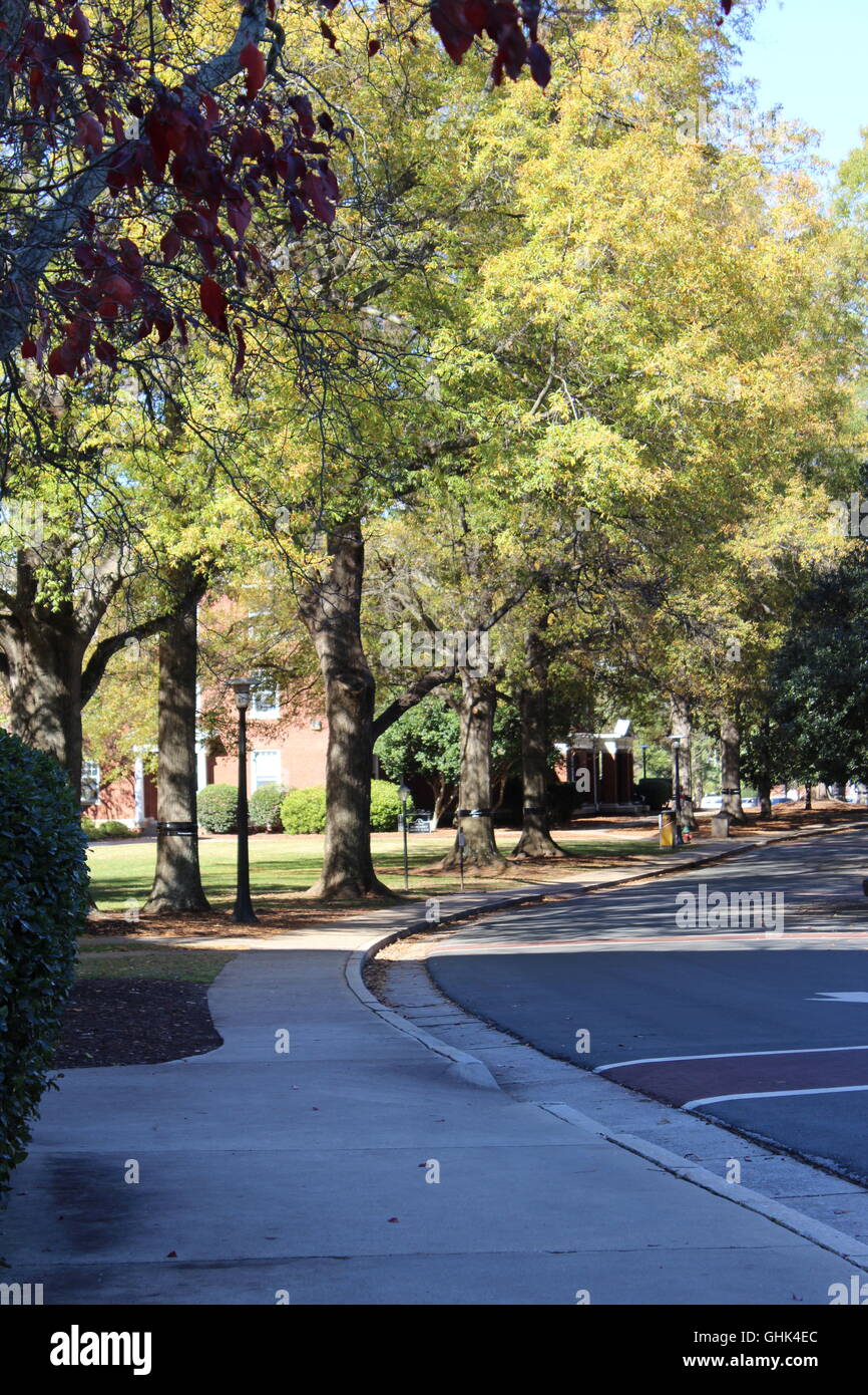 Fall afternoon on a college campus Stock Photo - Alamy