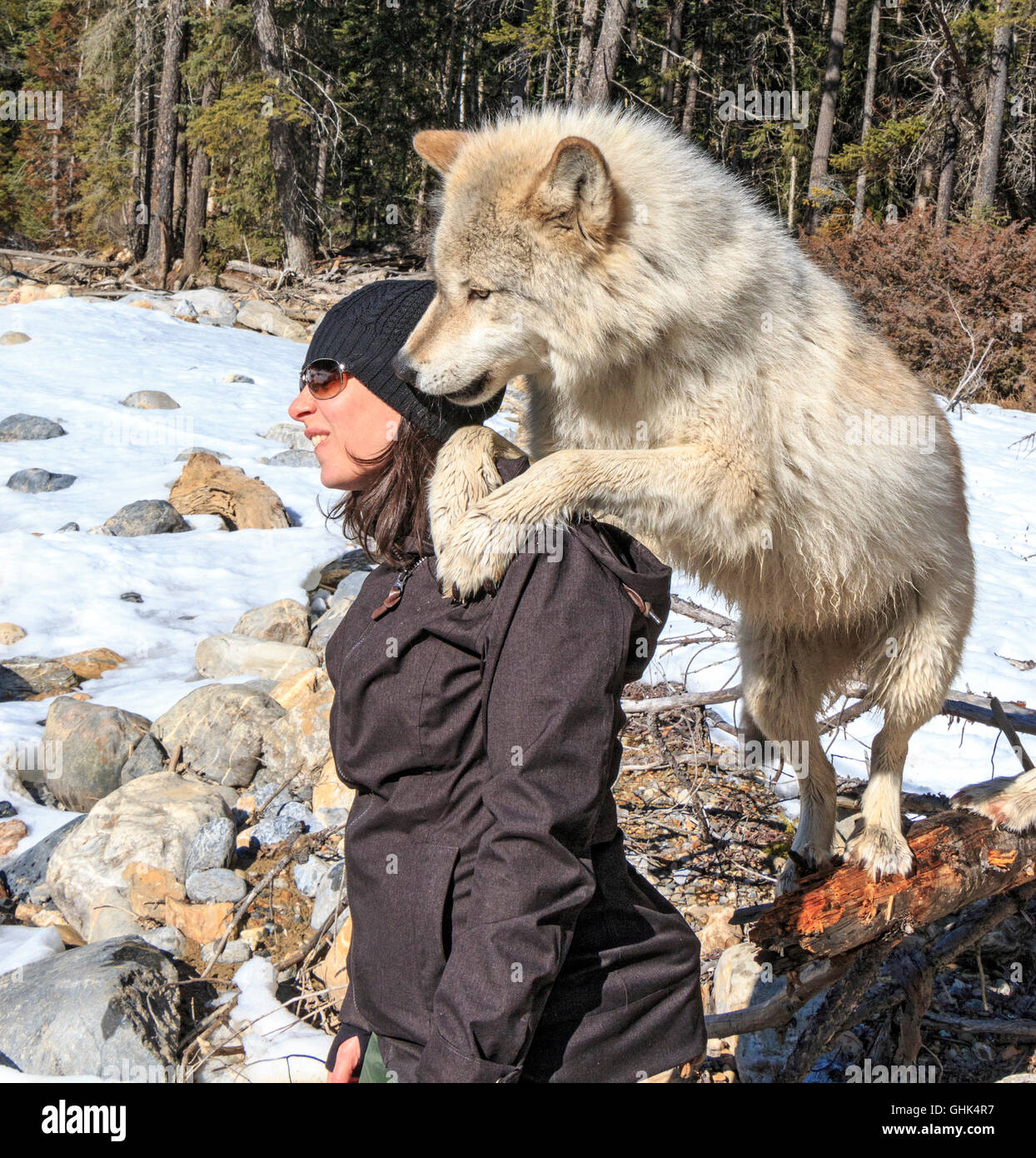 Scrappy hi-res stock photography and images - Alamy