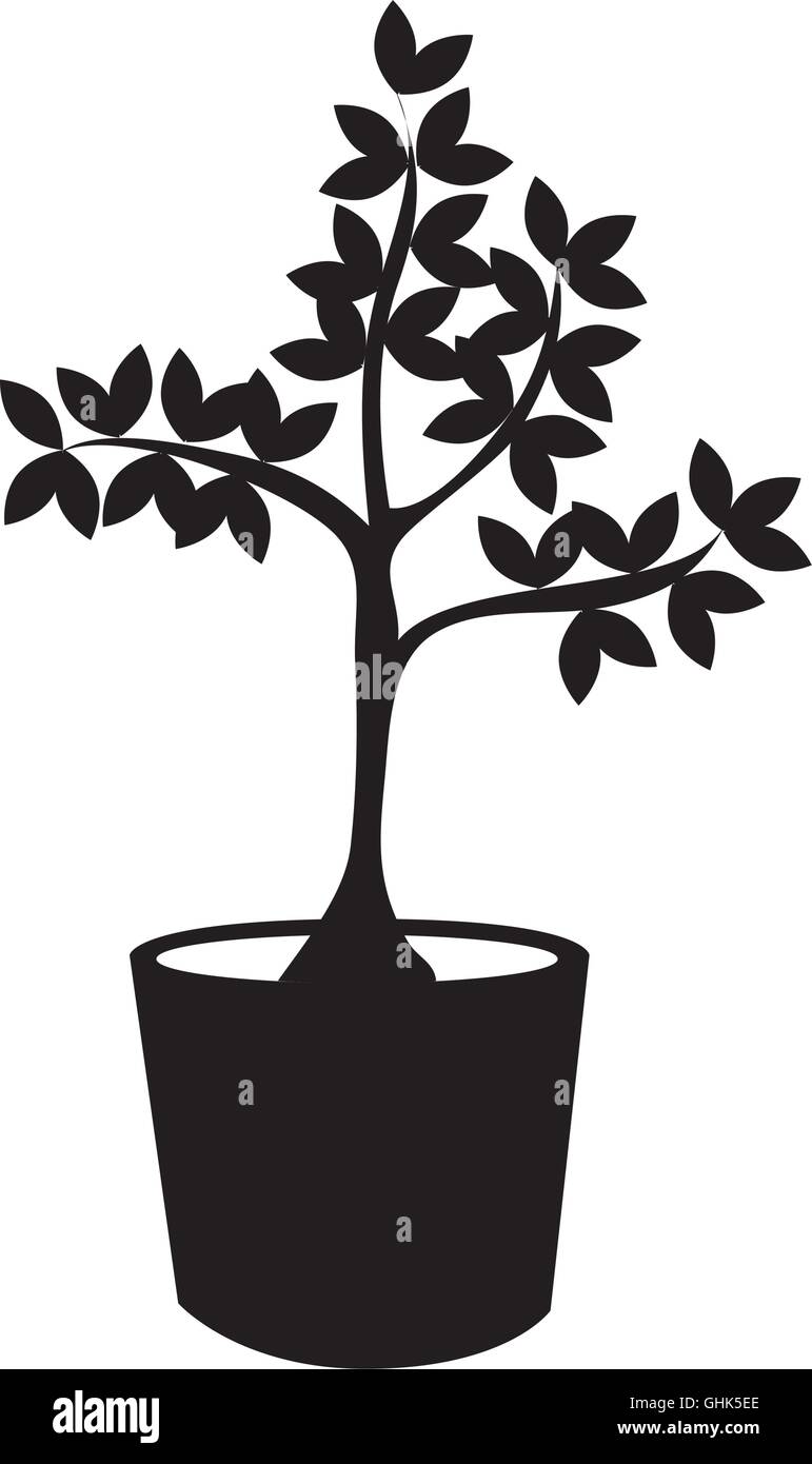 plant in pot tree nature icon vector graphic Stock Vector Image & Art ...