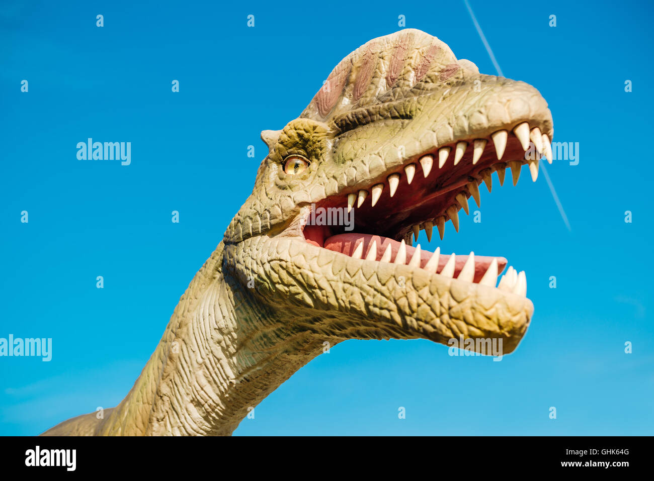 NOVI SAD, SERBIA - AUGUST 7, 2016: Dilophosaurus life size model of ...