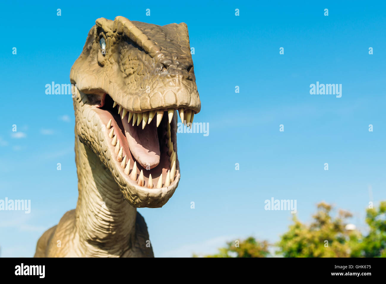 Life size prehistoric velociraptor raptor model hi-res stock ...