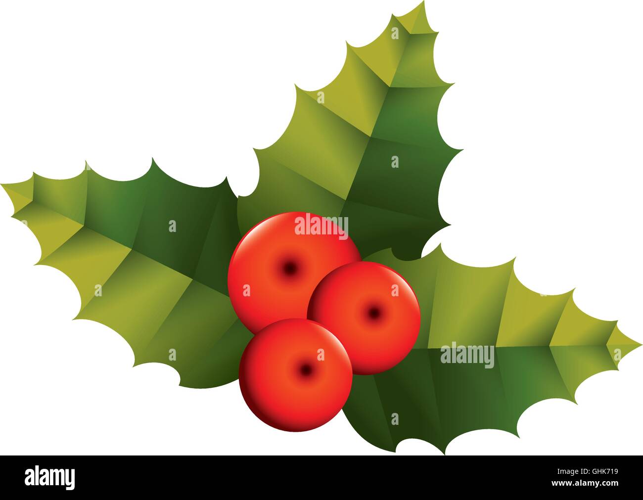 christmas plant leaf icon vector graphic Stock Vector Image & Art - Alamy