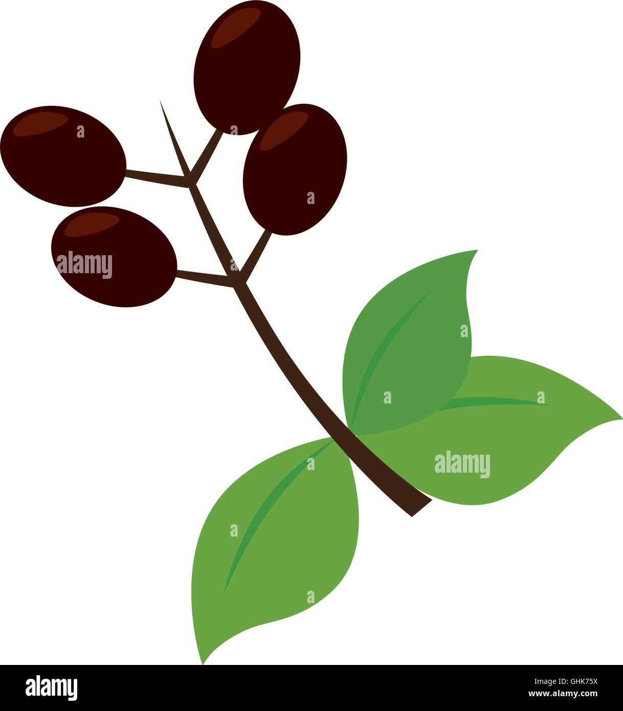 leaf coffee beans cafe icon vector graphic Stock Vector Image & Art - Alamy