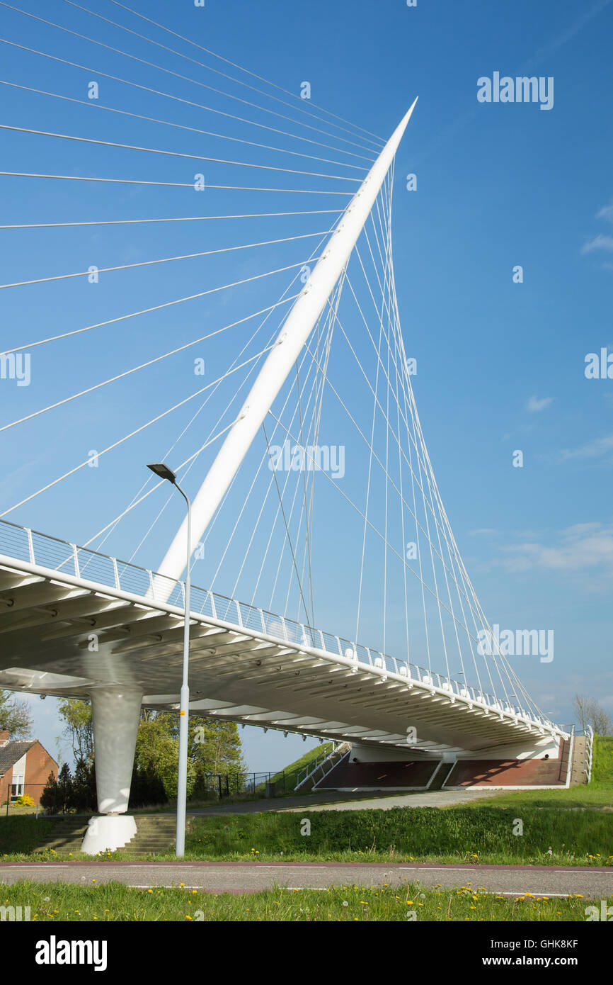 Lute bridge harp hi-res stock photography and images - Alamy