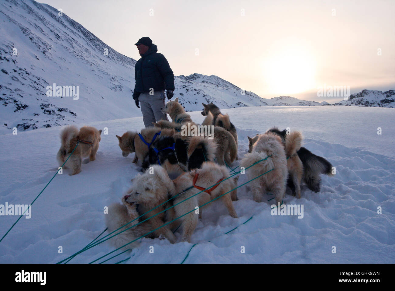 Eskimo Dog Sled