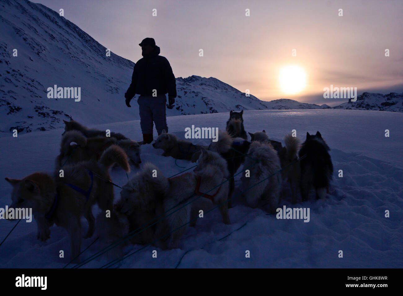 Eskimo with sled and dogs. Greenland Stock Photo - Alamy