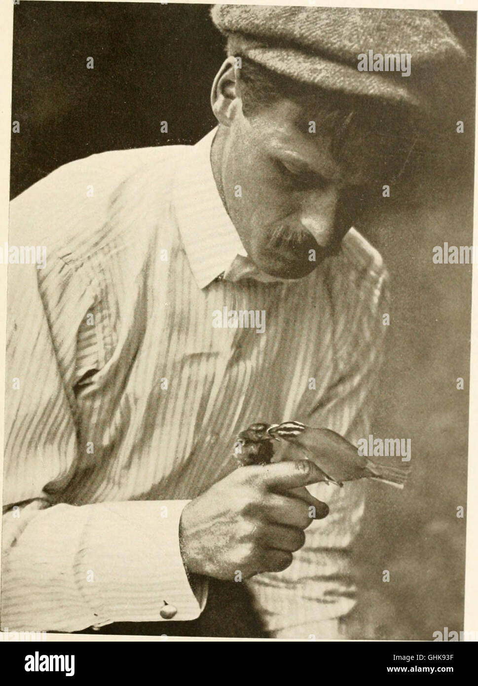 This 1902 guide explains how to photograph various natural subjects ...