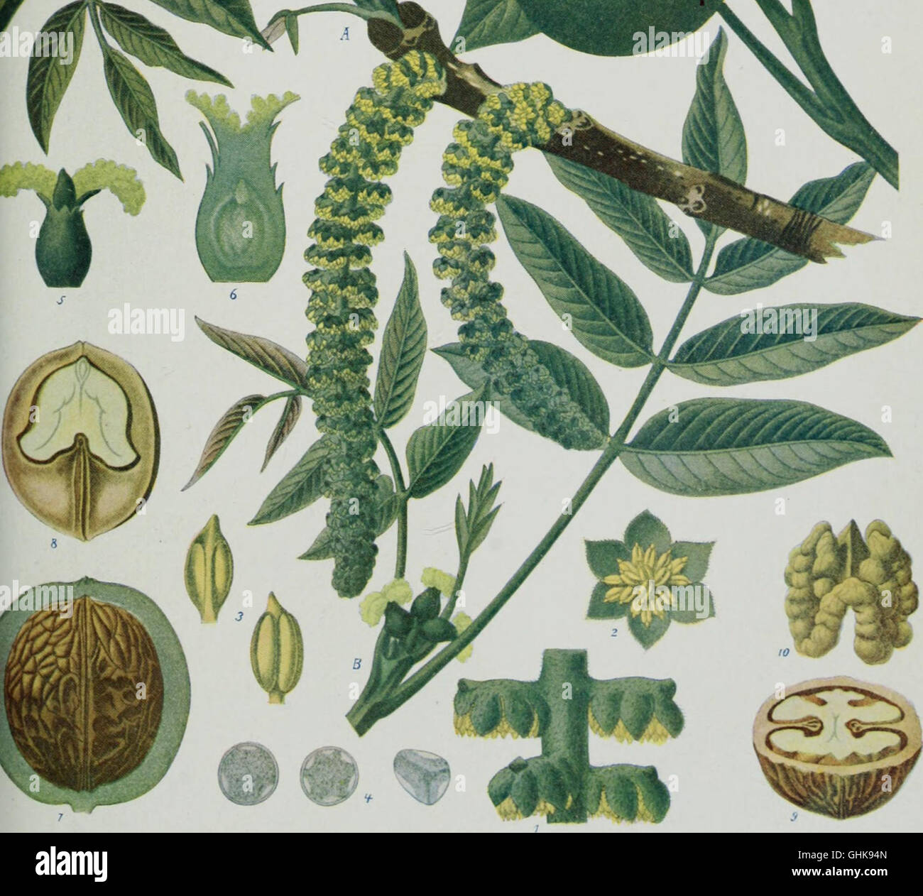 A photographic work showcasing nature's diversity through color ...