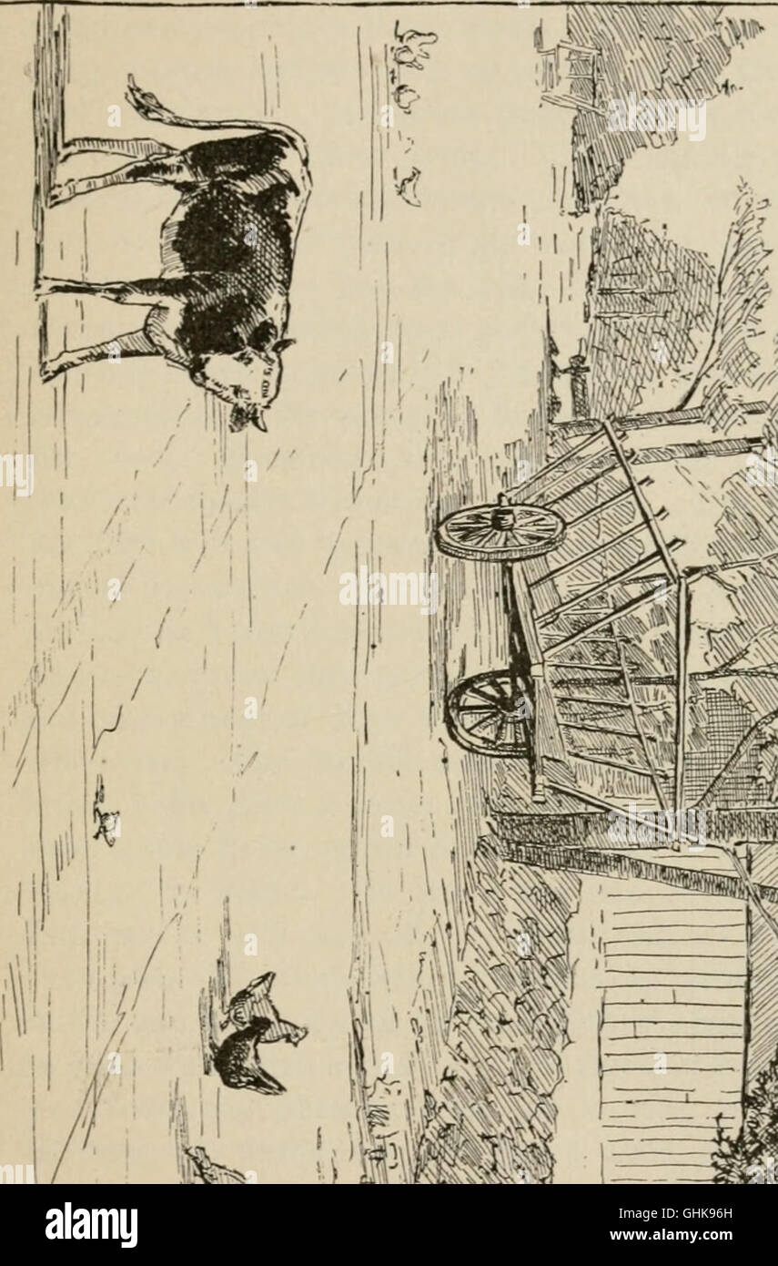 'New Castle, Historic and Picturesque' (1884) is a historical guide to ...