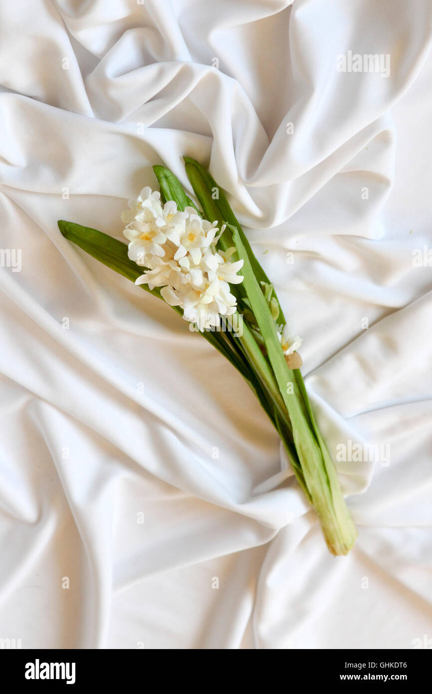 Silk_flower hi-res stock photography and images - Alamy