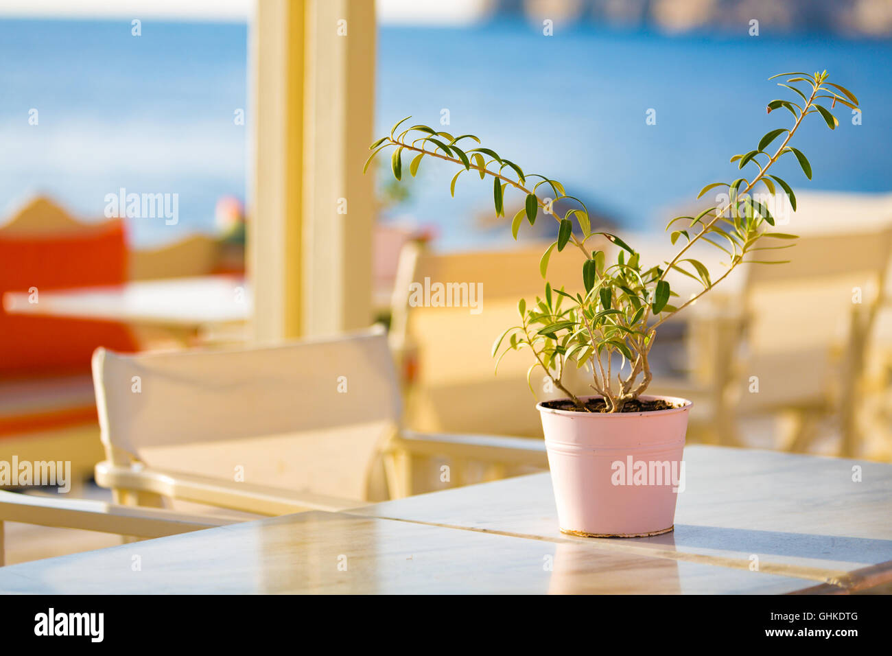 Green plant hi-res stock photography and images - Alamy