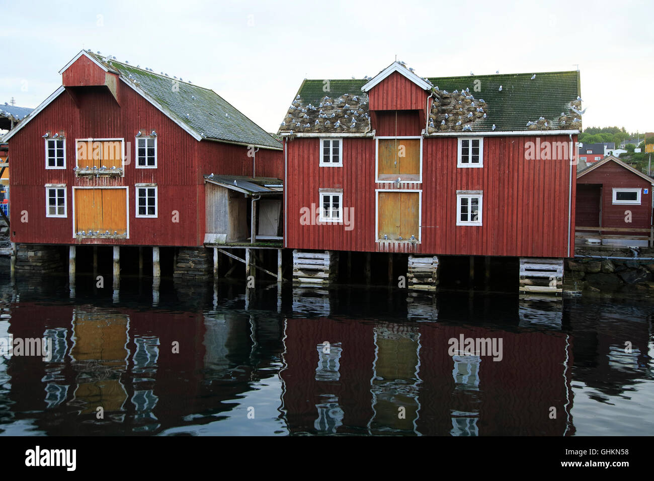 Traditional harbour buildings in fishing village of Rorvik, Norway Stock Photo - Alamy