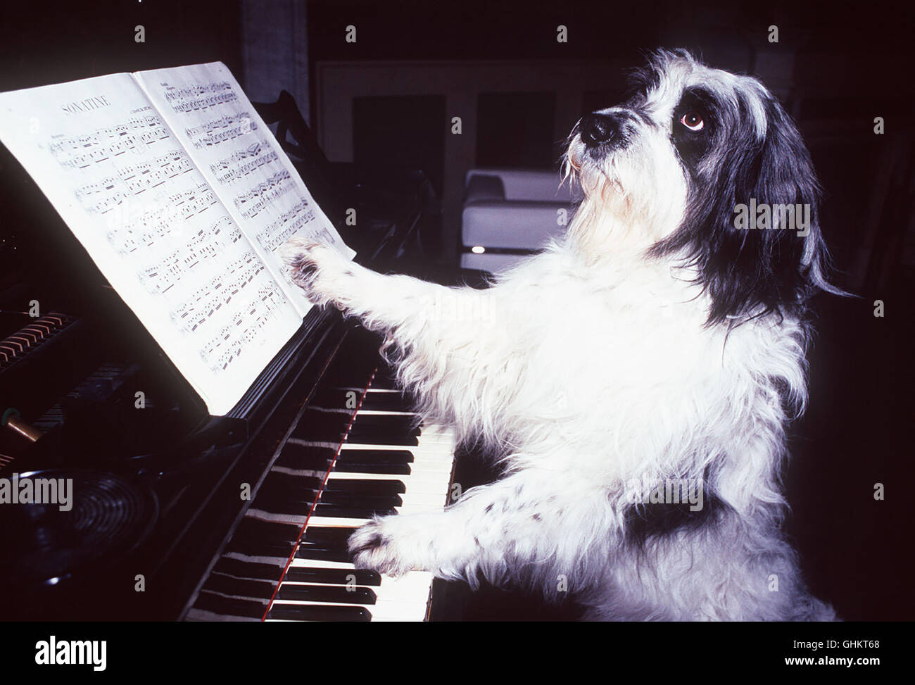 In diesem neusten Abenteuer ist Willy Wuff der rettende Engel für zwei ...