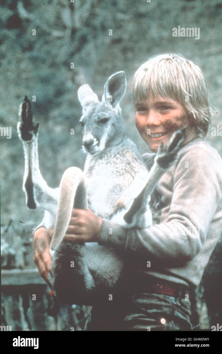 Am Ende des Tales Im australischen Busch trifft der rauhbeinige ...