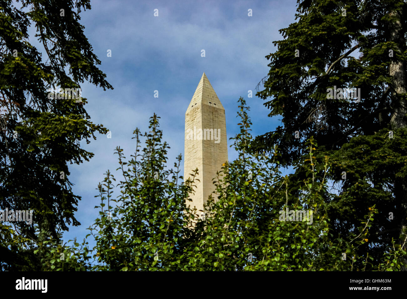 Washington Memorial Monument in Washington DC, through trees Stock ...