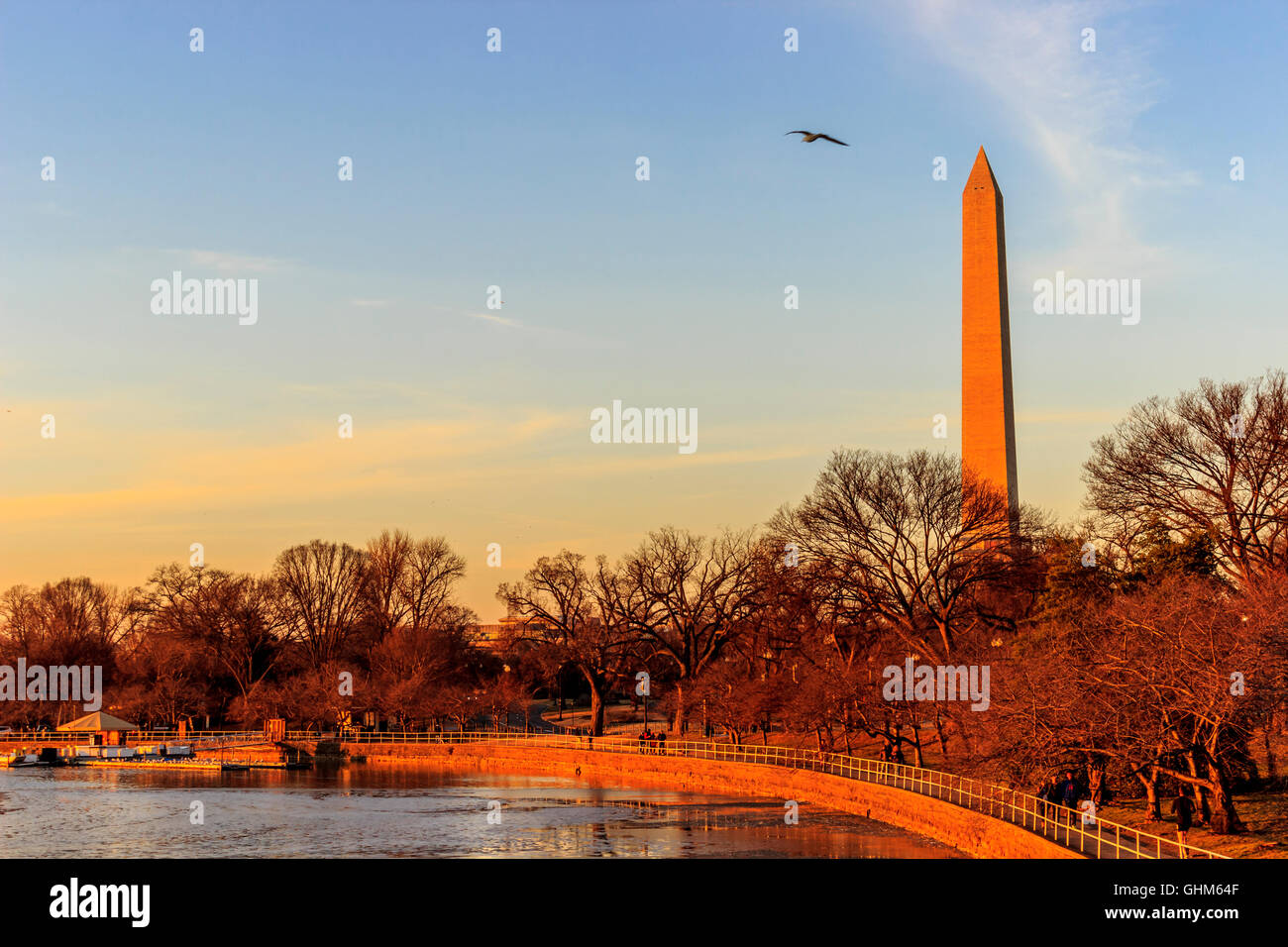 Washington Memorial Monument in Washington DC on sunset Stock Photo - Alamy