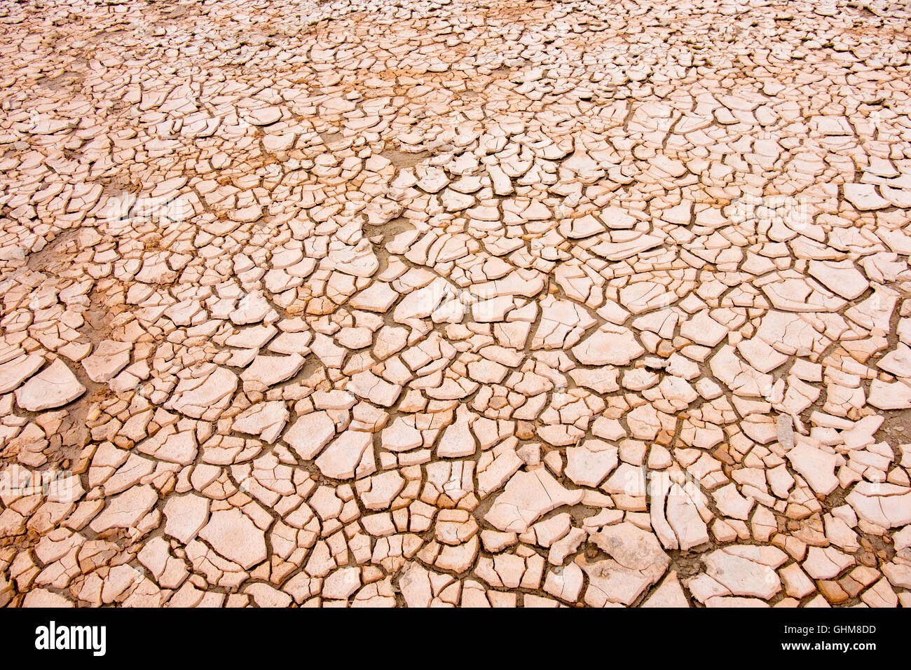 Drought parched soil cracks hi-res stock photography and images - Alamy