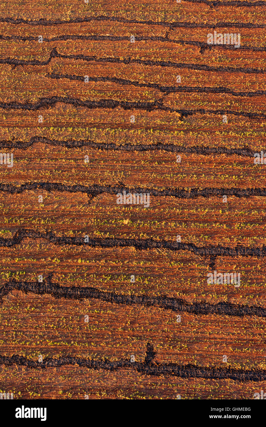 Maize fields ridges hi-res stock photography and images - Alamy
