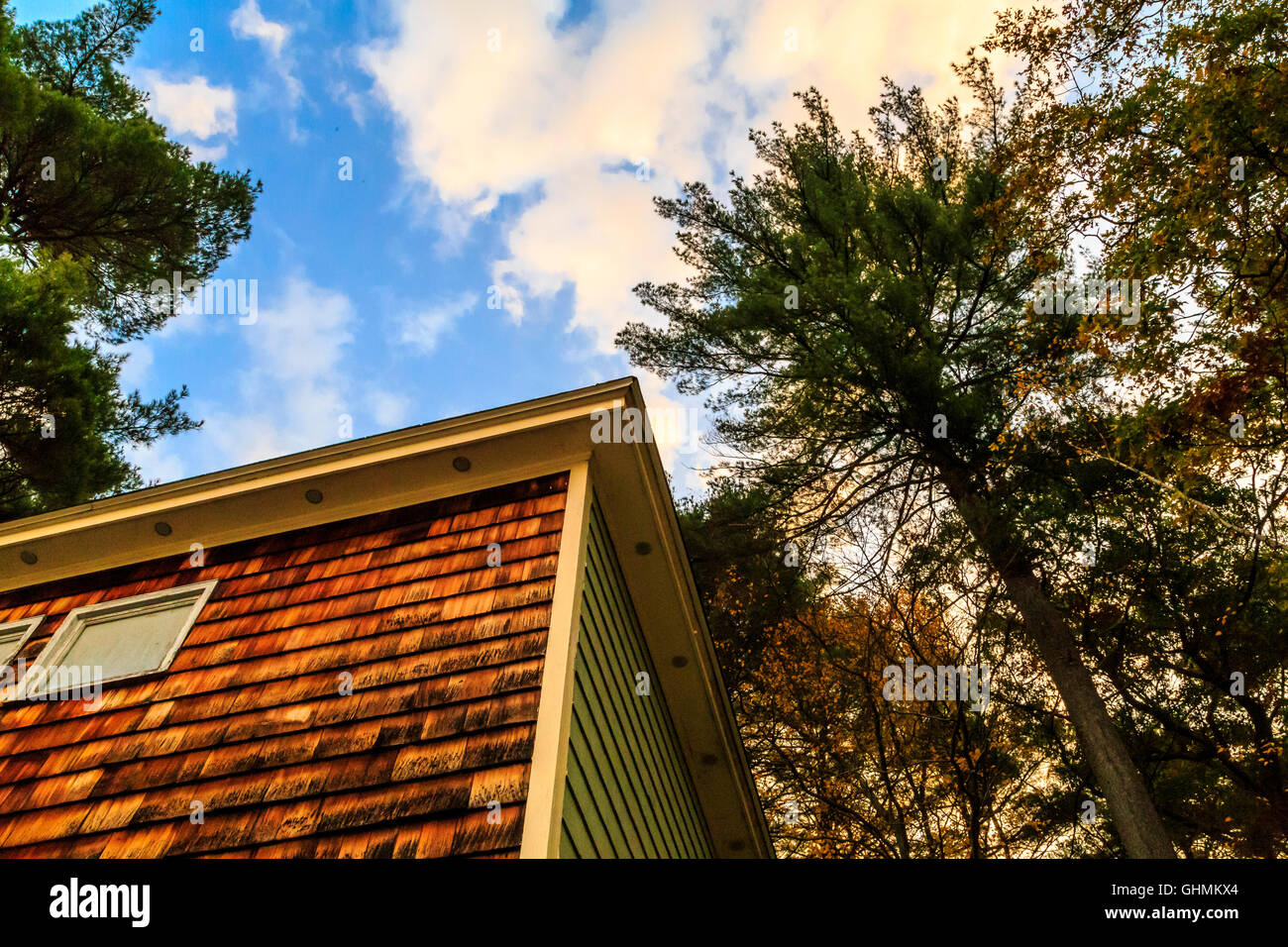 Two Textured Building corner with Trees and Blue Sky Stock Photo - Alamy