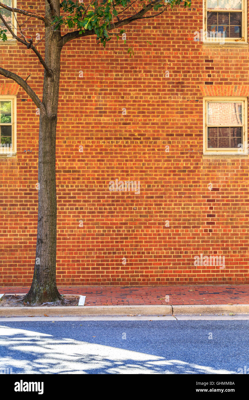Red Brick Wall with tree Stock Photo - Alamy