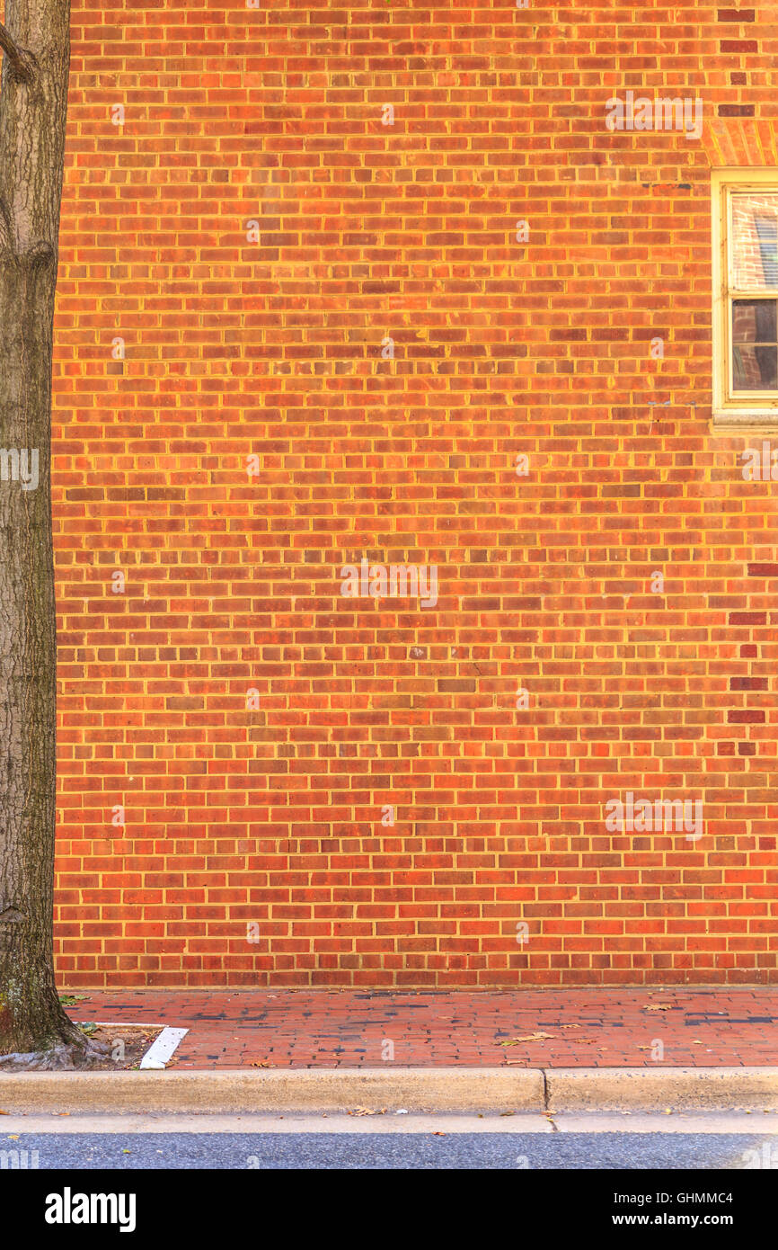 Red Brick Wall with tree Stock Photo - Alamy
