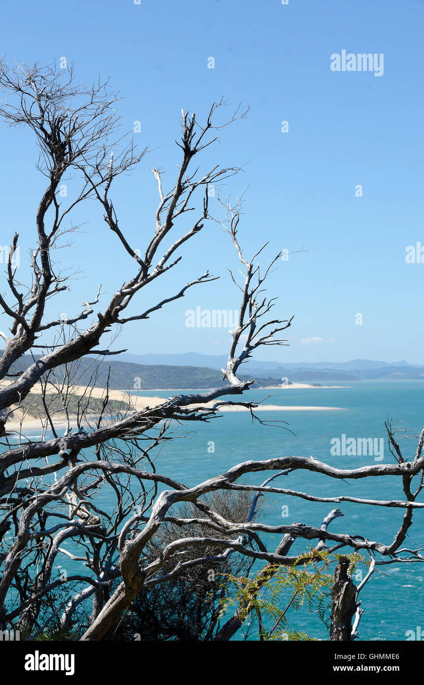 Hokianga harbour new zealand new zealand landscape sky hi-res stock ...