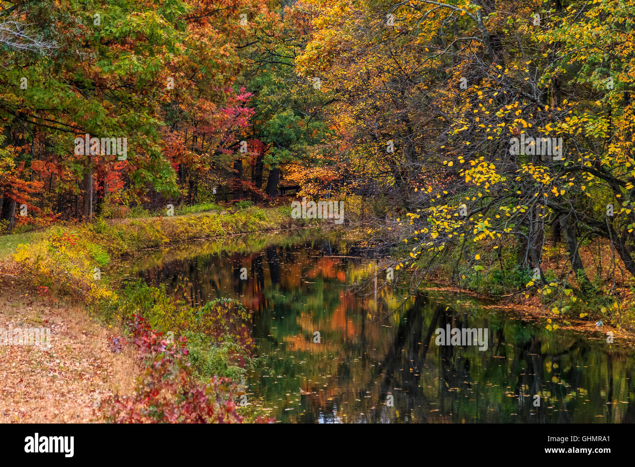 Fall colored trees reflecting on calm river Stock Photo - Alamy