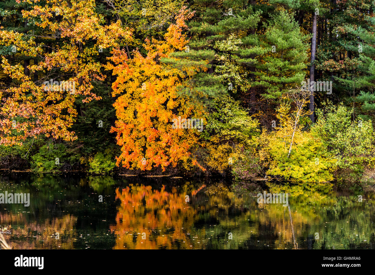 Fall colored trees reflecting on calm river Stock Photo - Alamy