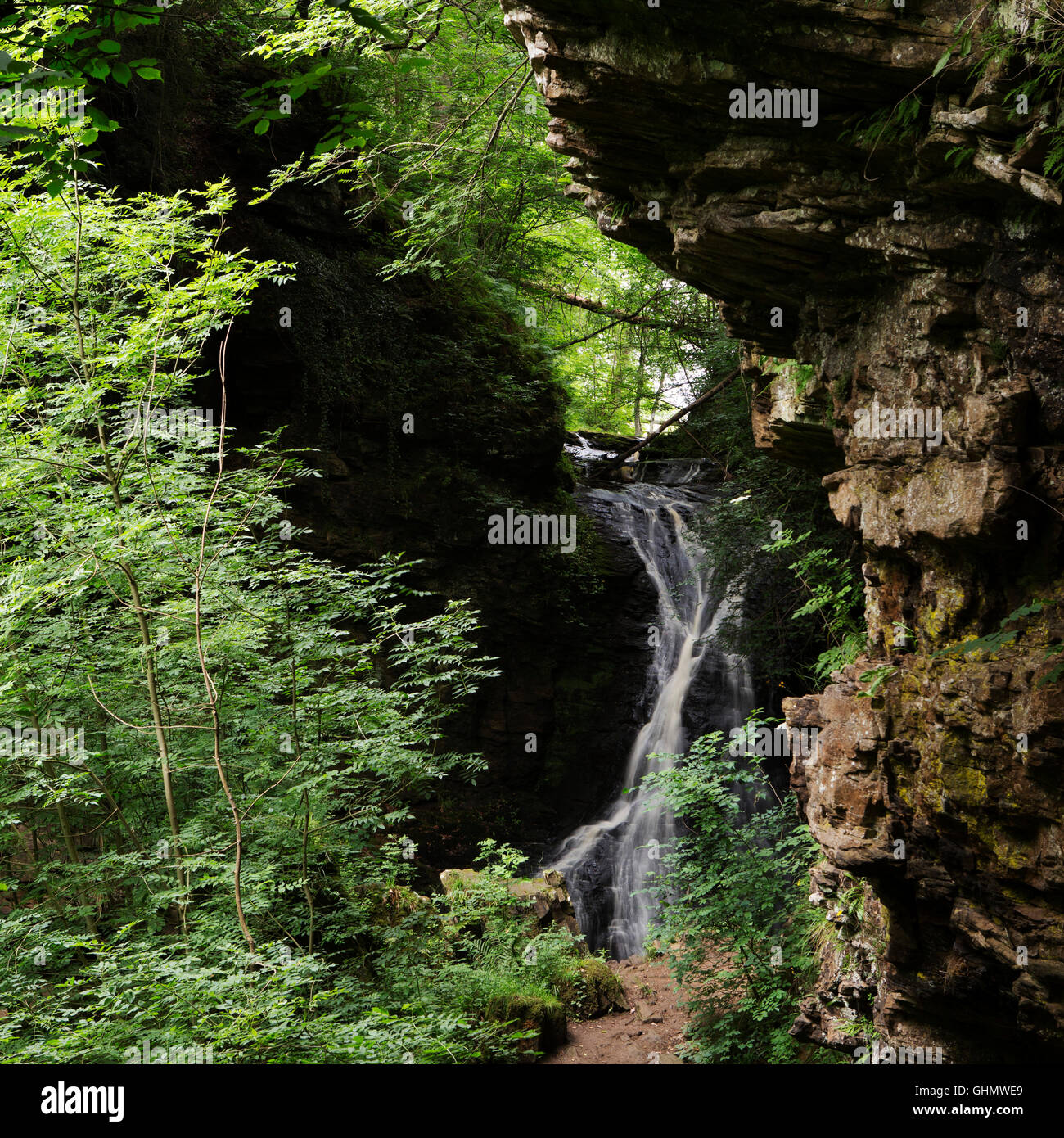 Hareshaw Linn Waterfall near Bellingham in Northumberland, England. The ...
