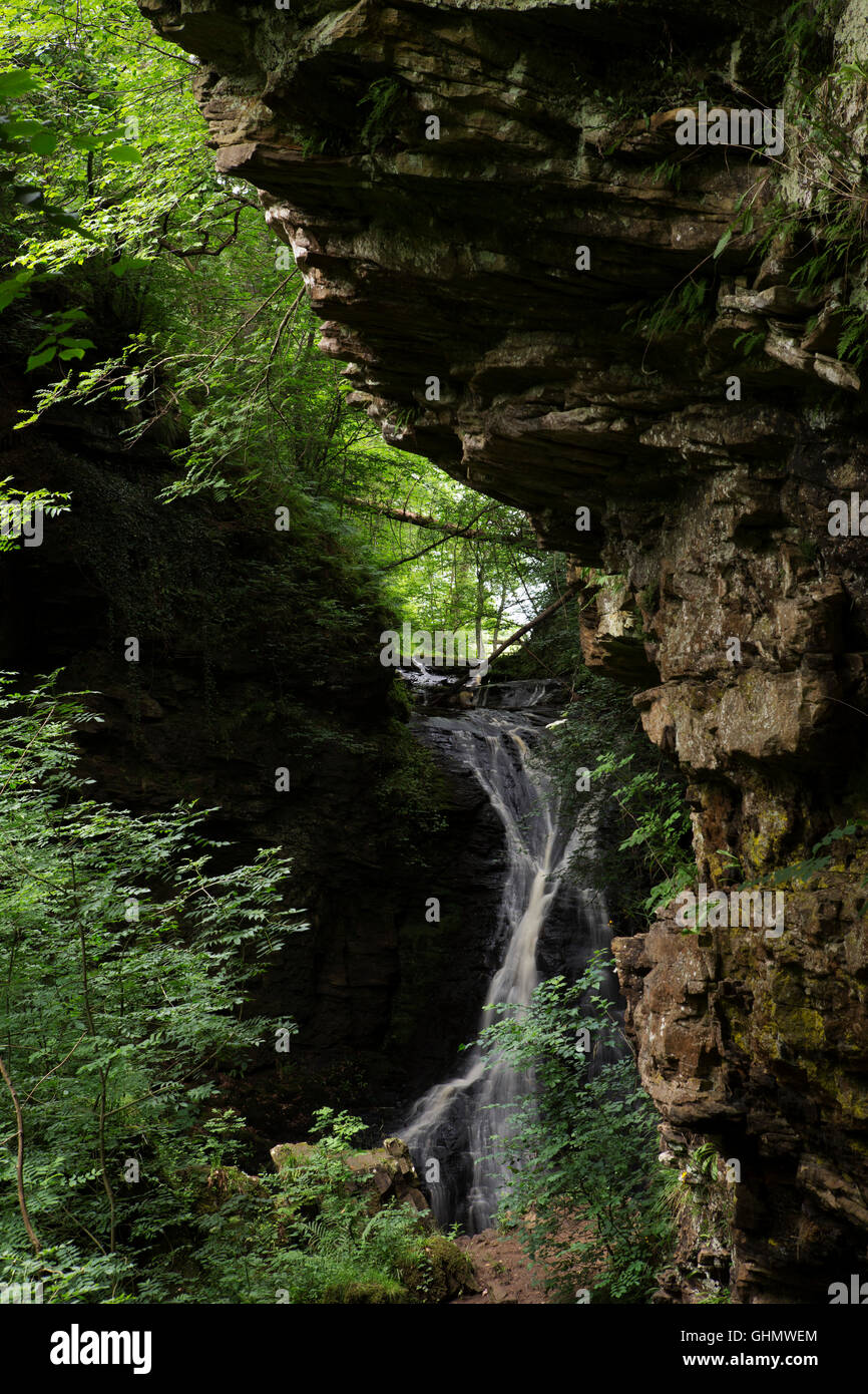 Hareshaw Linn Waterfall near Bellingham in Northumberland, England. The ...