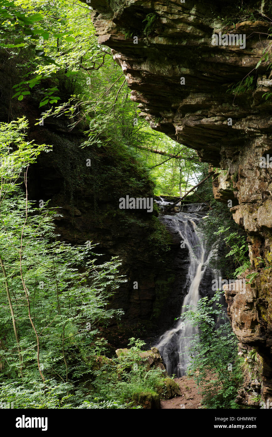 Hareshaw Linn Waterfall near Bellingham in Northumberland, England. The ...