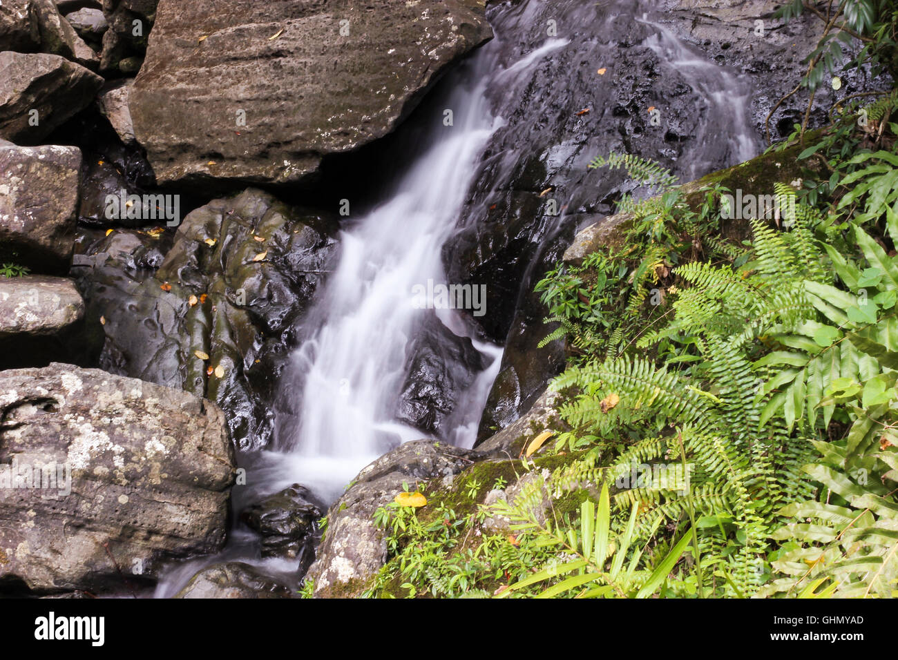 Water stream moving through rocks Stock Photo - Alamy