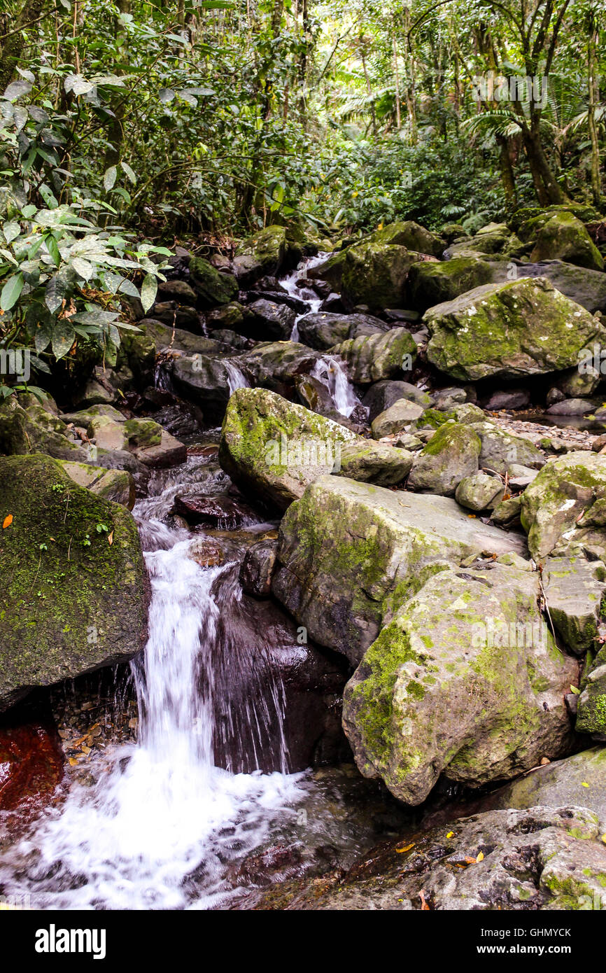 Water stream moving through rocks Stock Photo - Alamy