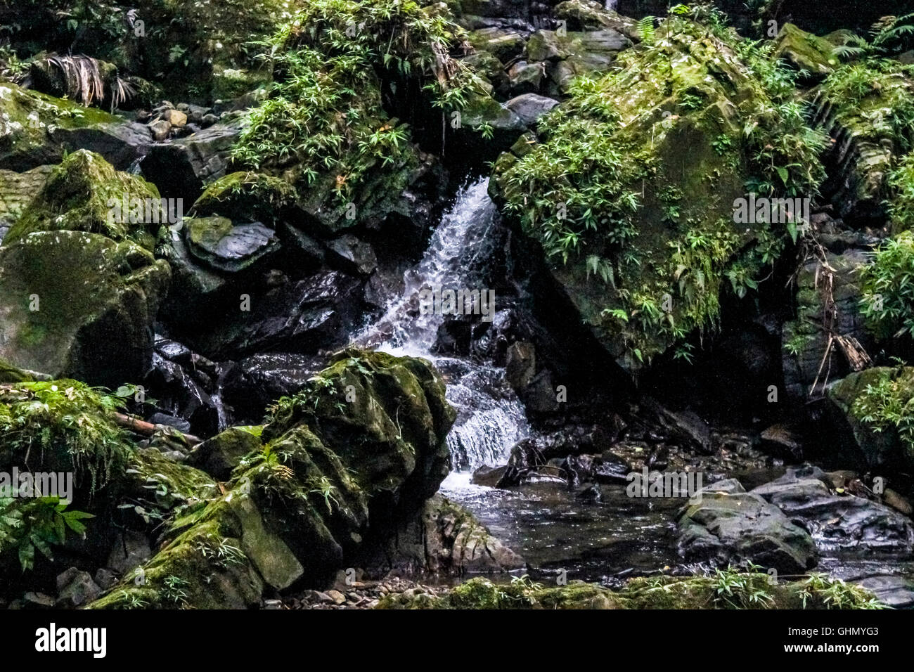 Water stream moving through rocks Stock Photo - Alamy