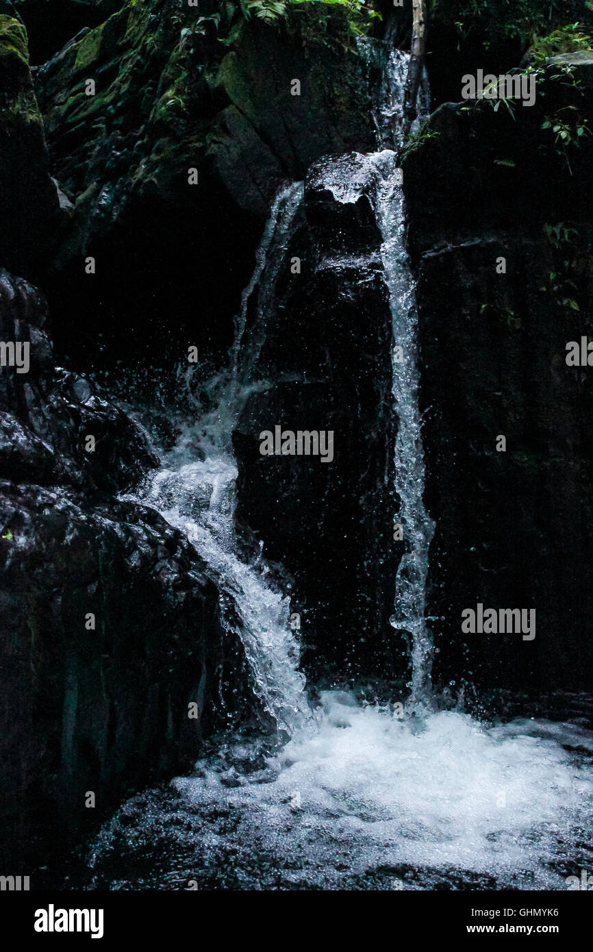 Water stream moving through rocks into pond Stock Photo - Alamy