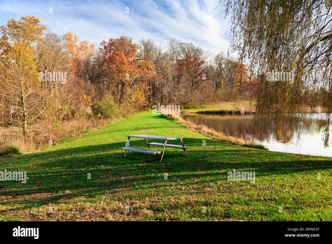 Willow tree bench hi-res stock photography and images - Alamy