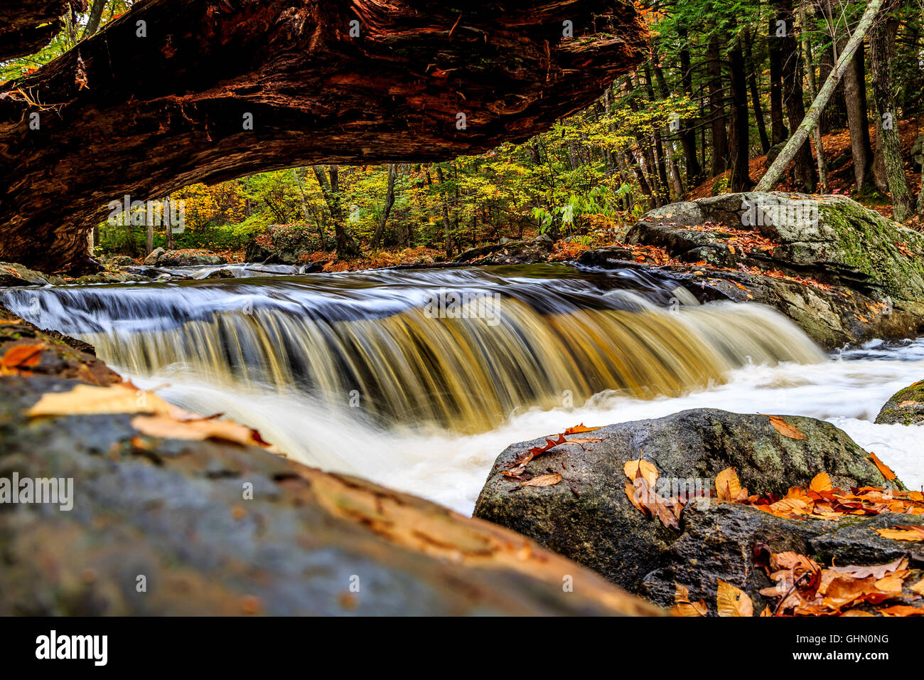 Watter flowing after storm in river during autumn Stock Photo - Alamy