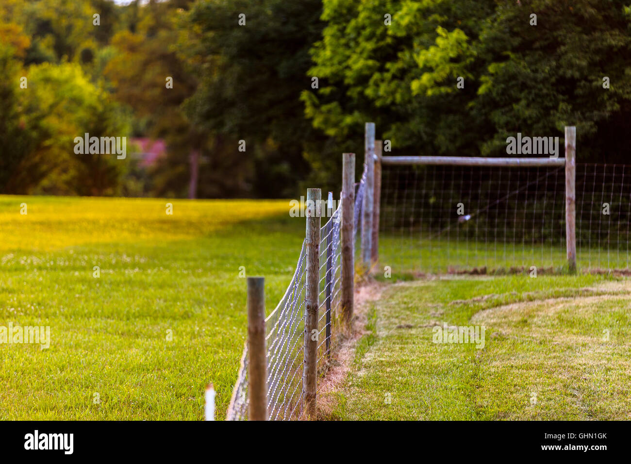 Setting sun behind fence hi-res stock photography and images - Alamy