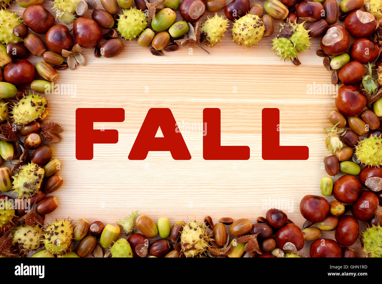 FALL written on wooden background with beechnuts, horse chestnuts and ...