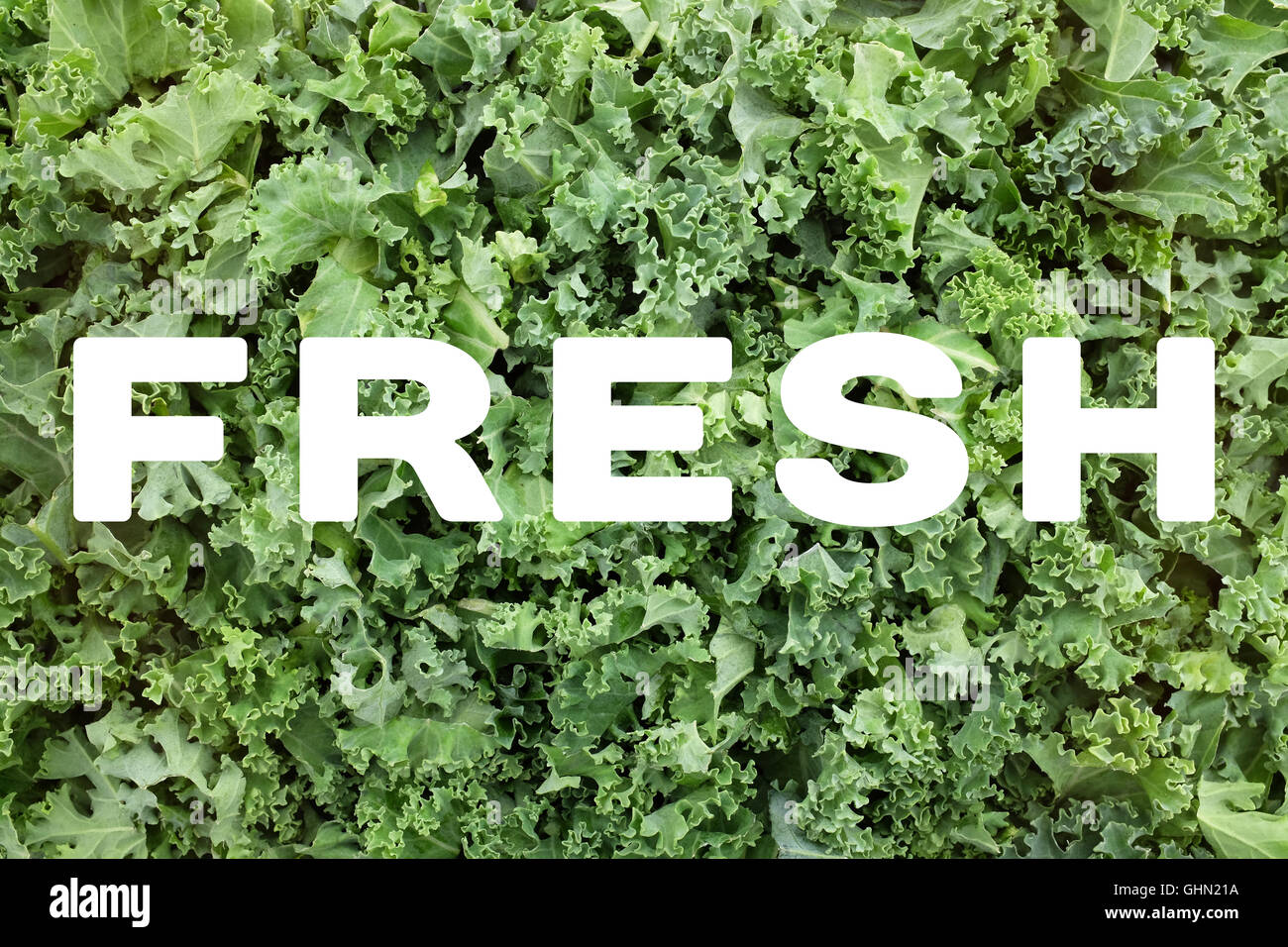 FRESH concept text written over green chopped kale leaves background ...