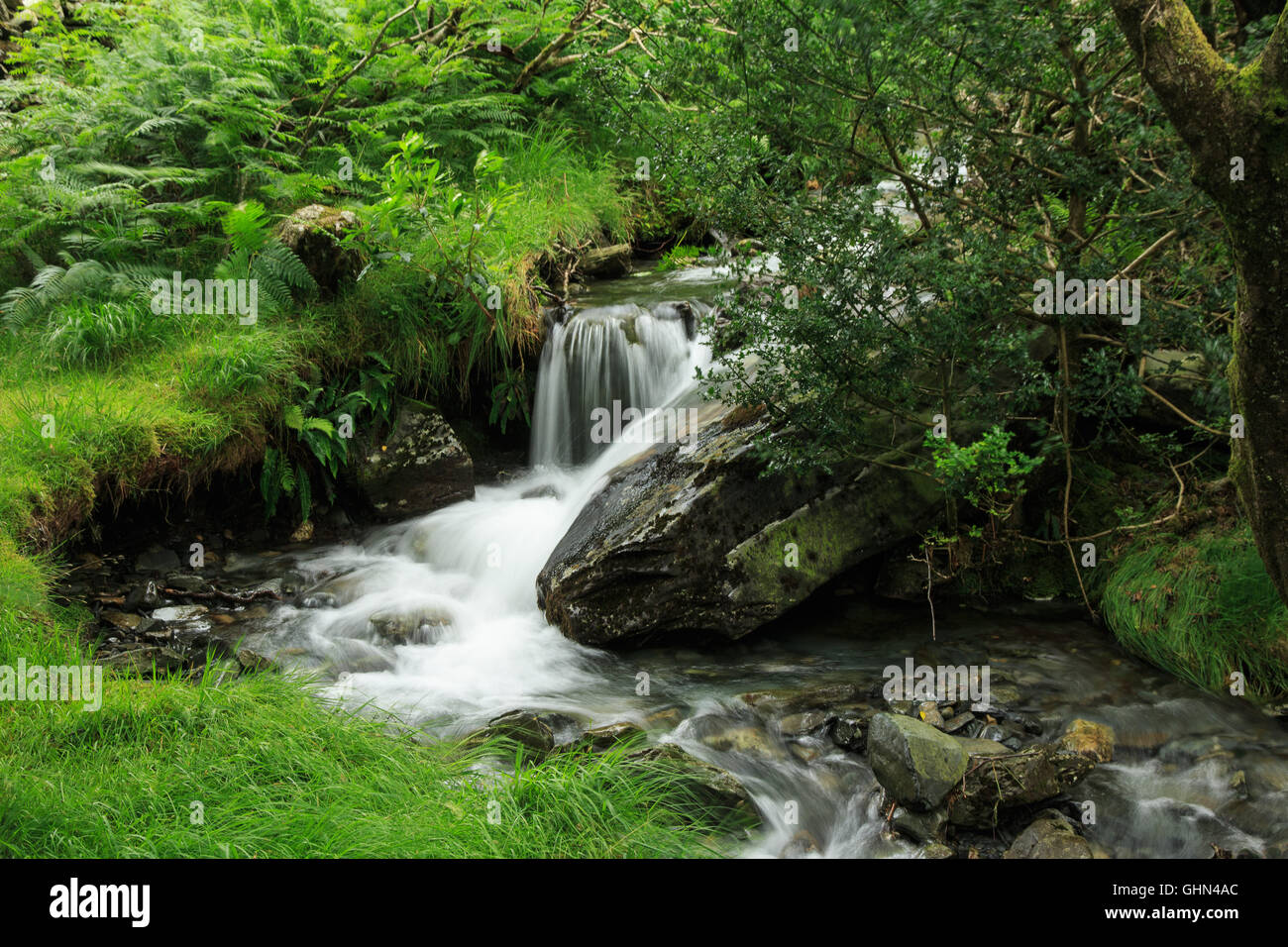 Waterfall on Stream near Beddgelert Stock Photo - Alamy