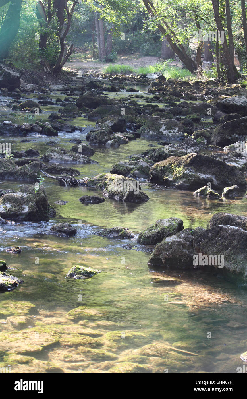 mountain creek nature spring scene Stock Photo - Alamy