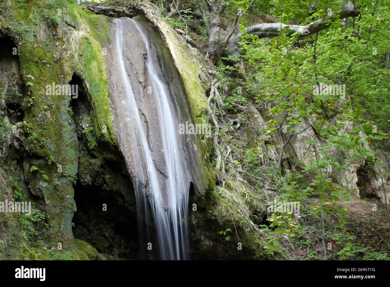spring scene forest waterfall Stock Photo - Alamy