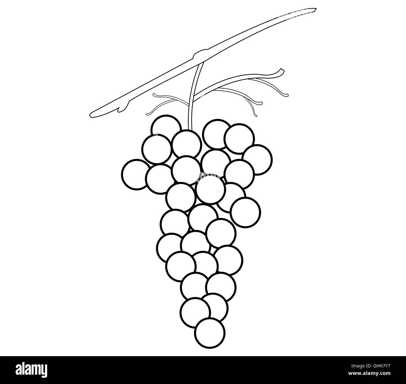 Grapes Handout at Phoebe Reddall blog